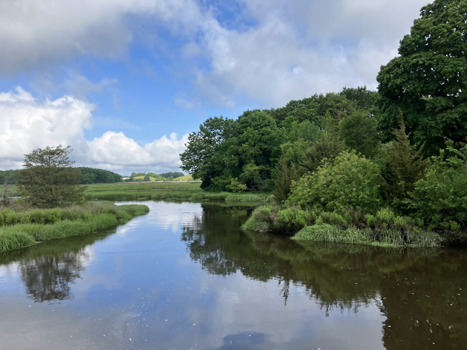 Restoring the Great Marsh: Transforming Habitats, Strengthening ...